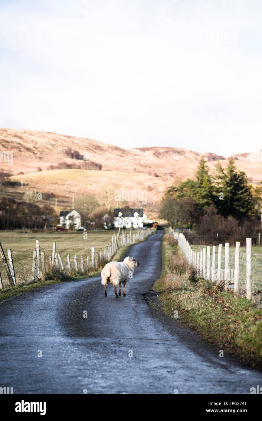 Duror glencoe hi-res stock photography and images - Alamy