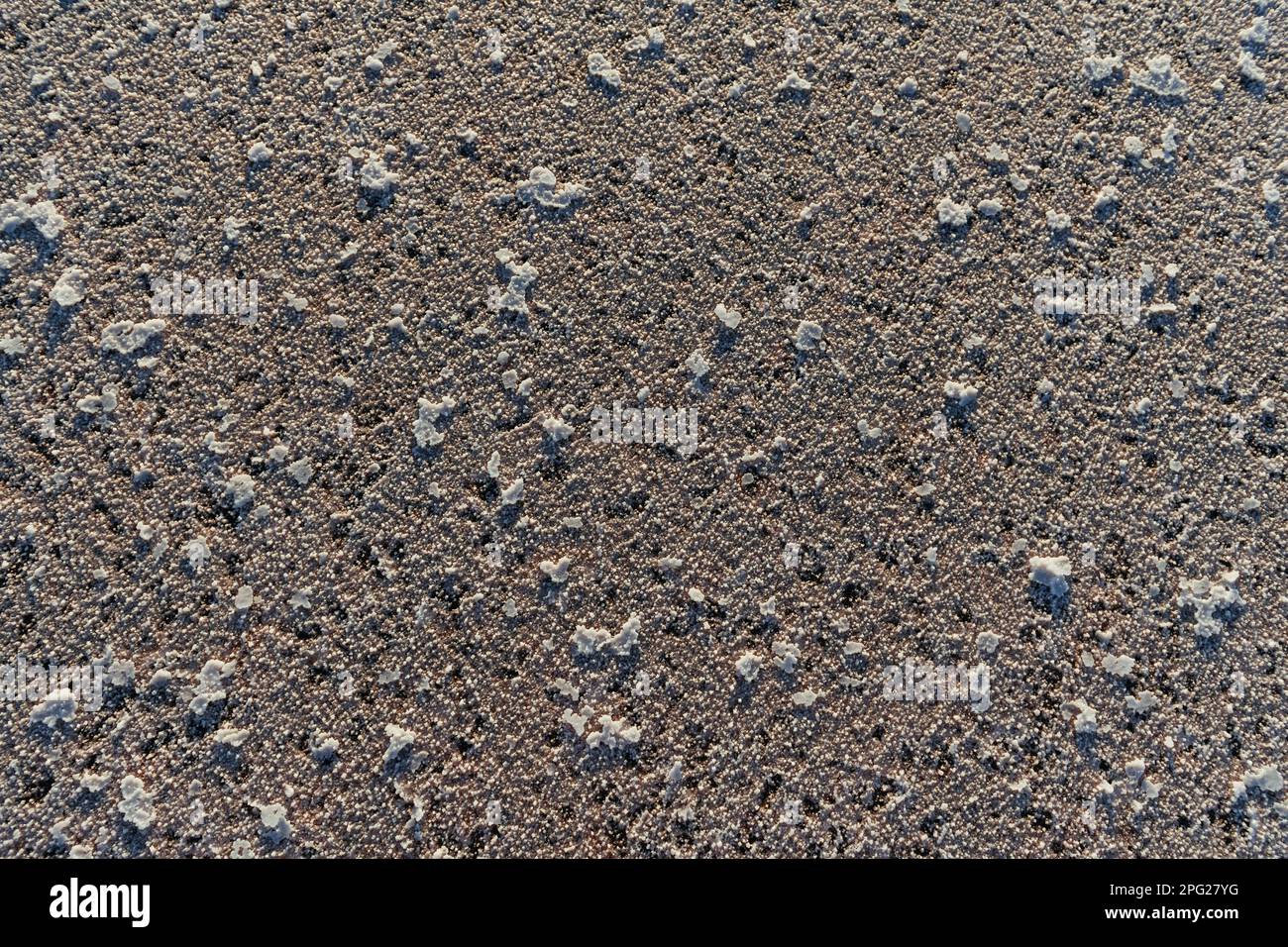 Top close up view of surface on the beach. Details of colorful soil ...