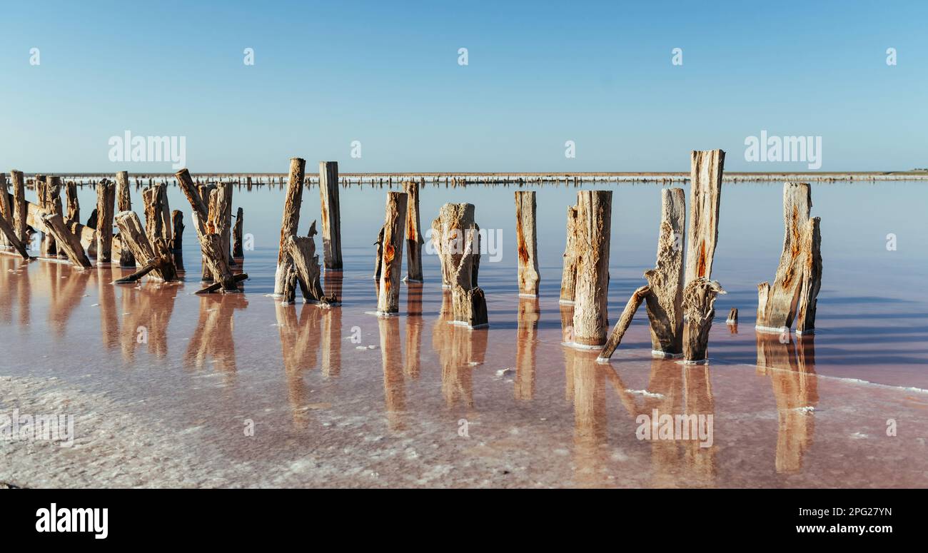 Wooden obstacles in the sea of Jarilgach island, Ukraine. At daytime ...