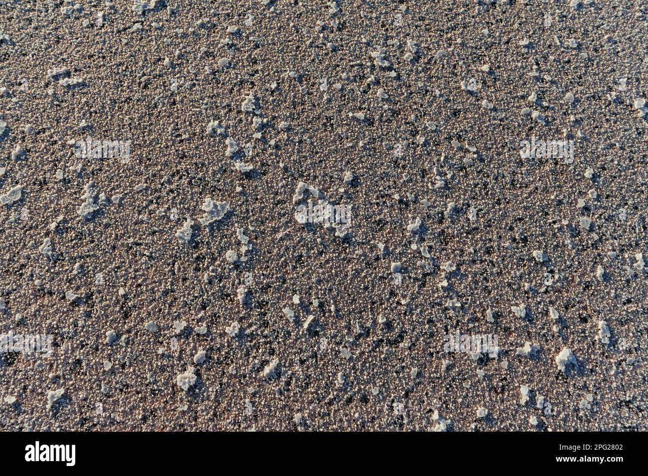 Top close up view of surface on the beach. Details of colorful soil ...