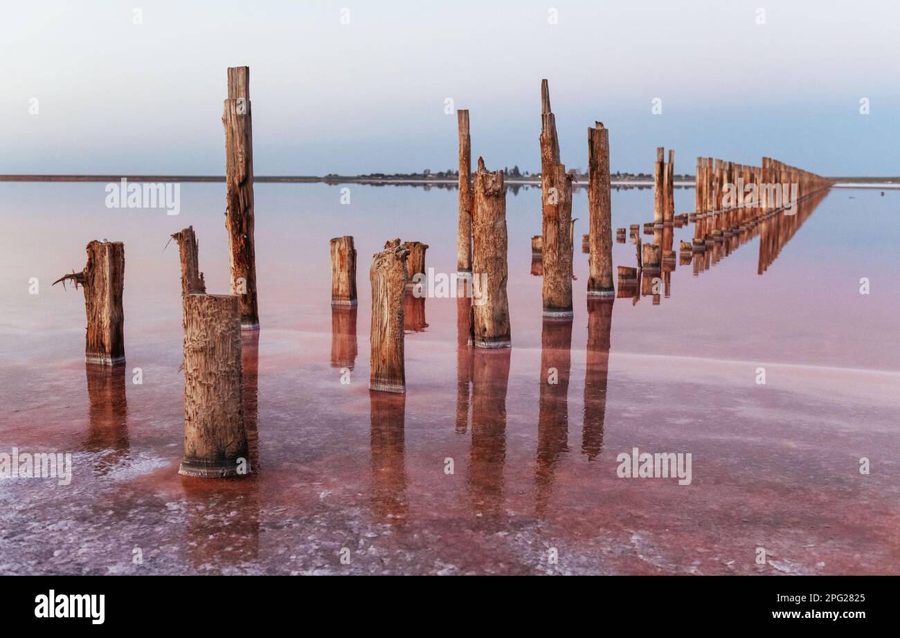 Wooden obstacles in the sea of Jarilgach island, Ukraine. At daytime ...