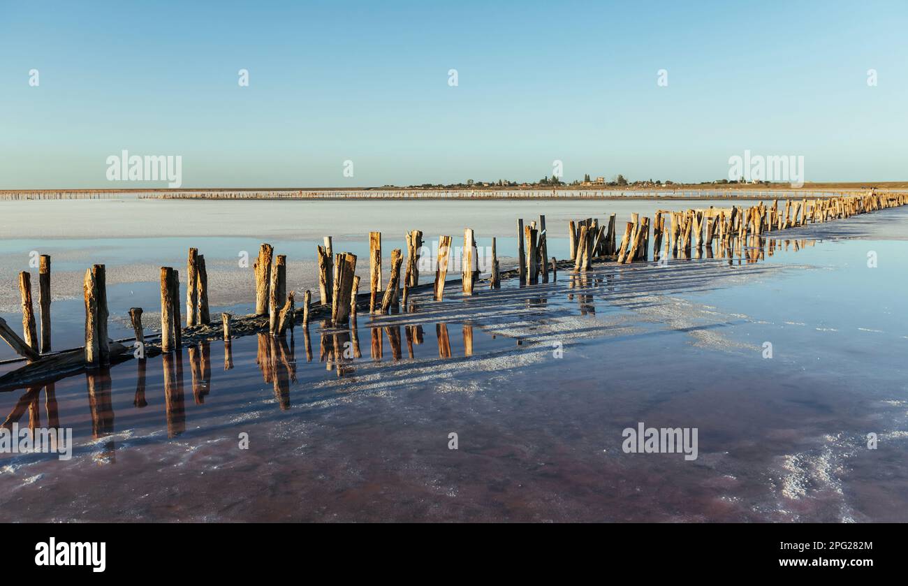 Wooden obstacles in the sea of Jarilgach island, Ukraine. At daytime ...