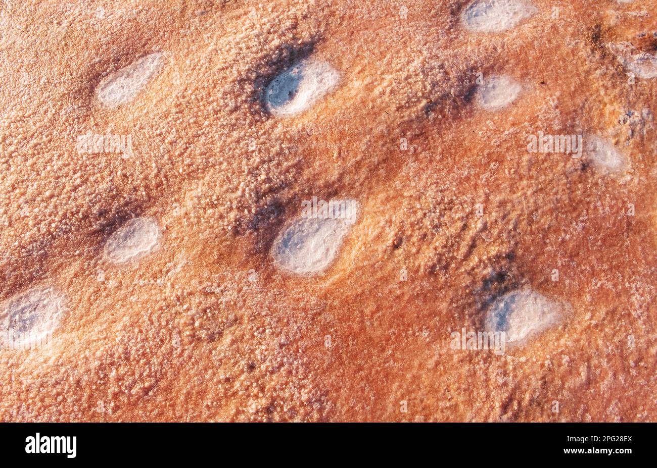 Top close up view of surface on the beach. Details of colorful soil ...