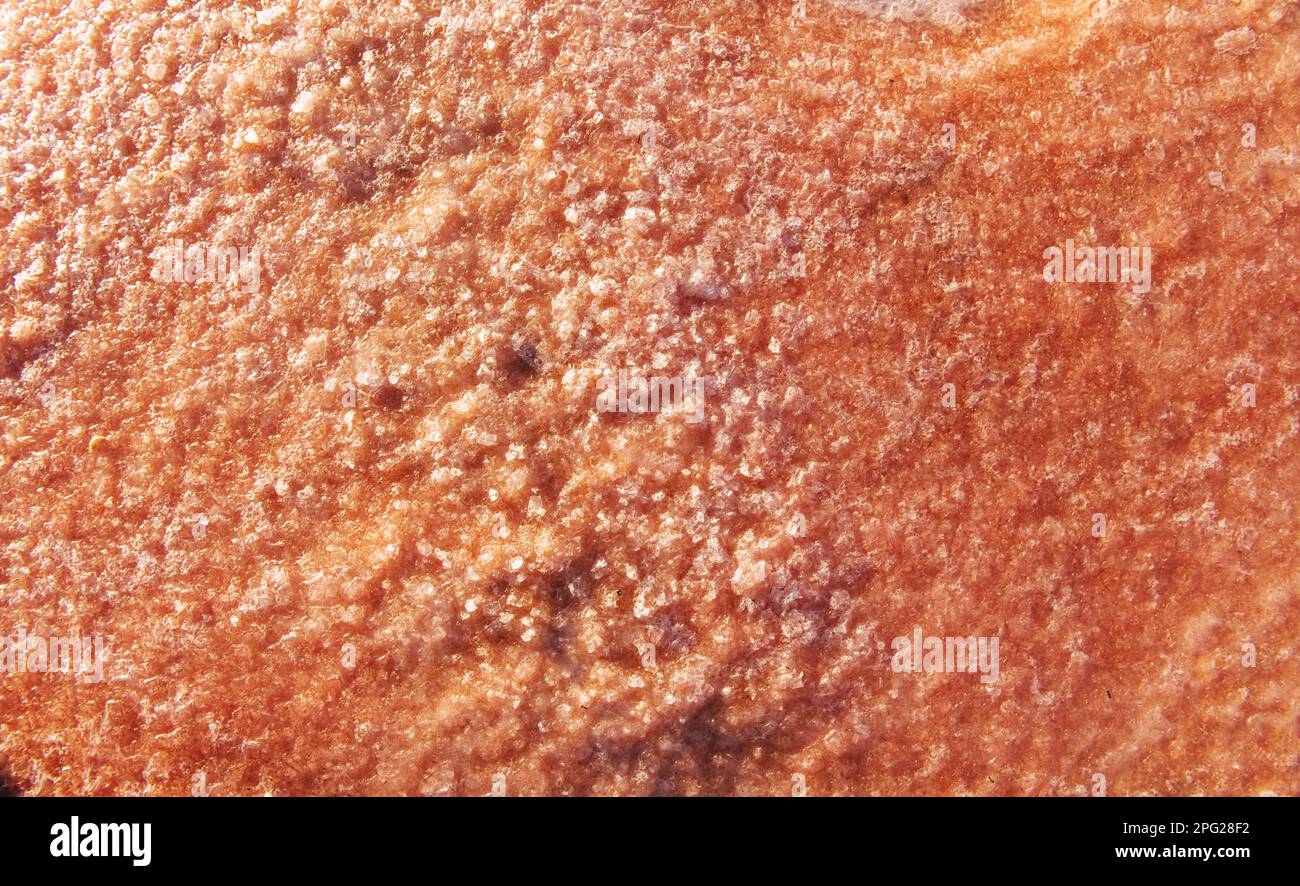 Top close up view of surface on the beach. Details of colorful soil ...