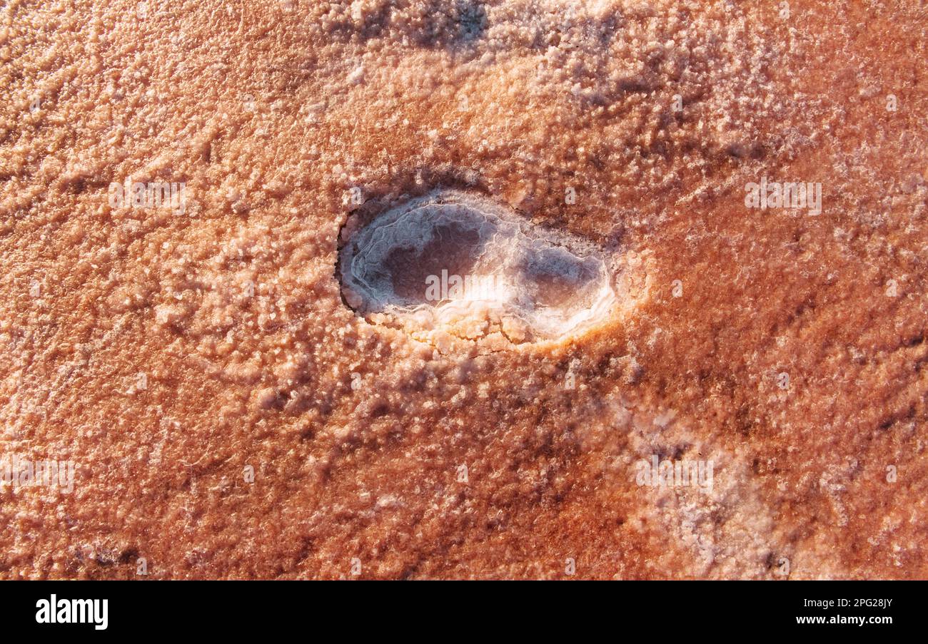 Top close up view of surface on the beach. Details of colorful soil ...