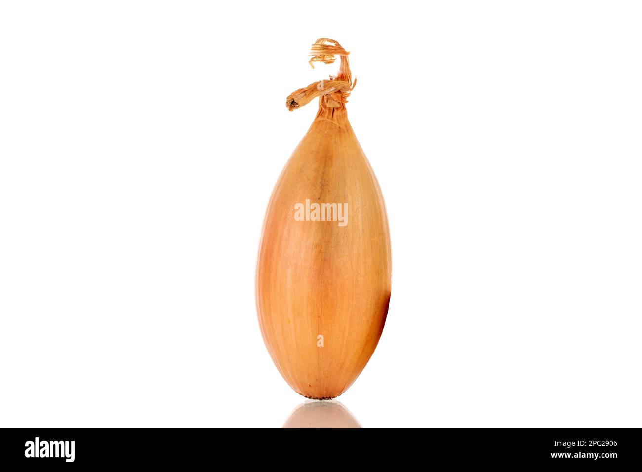One golden shallot, macro, isolated on white background Stock Photo - Alamy