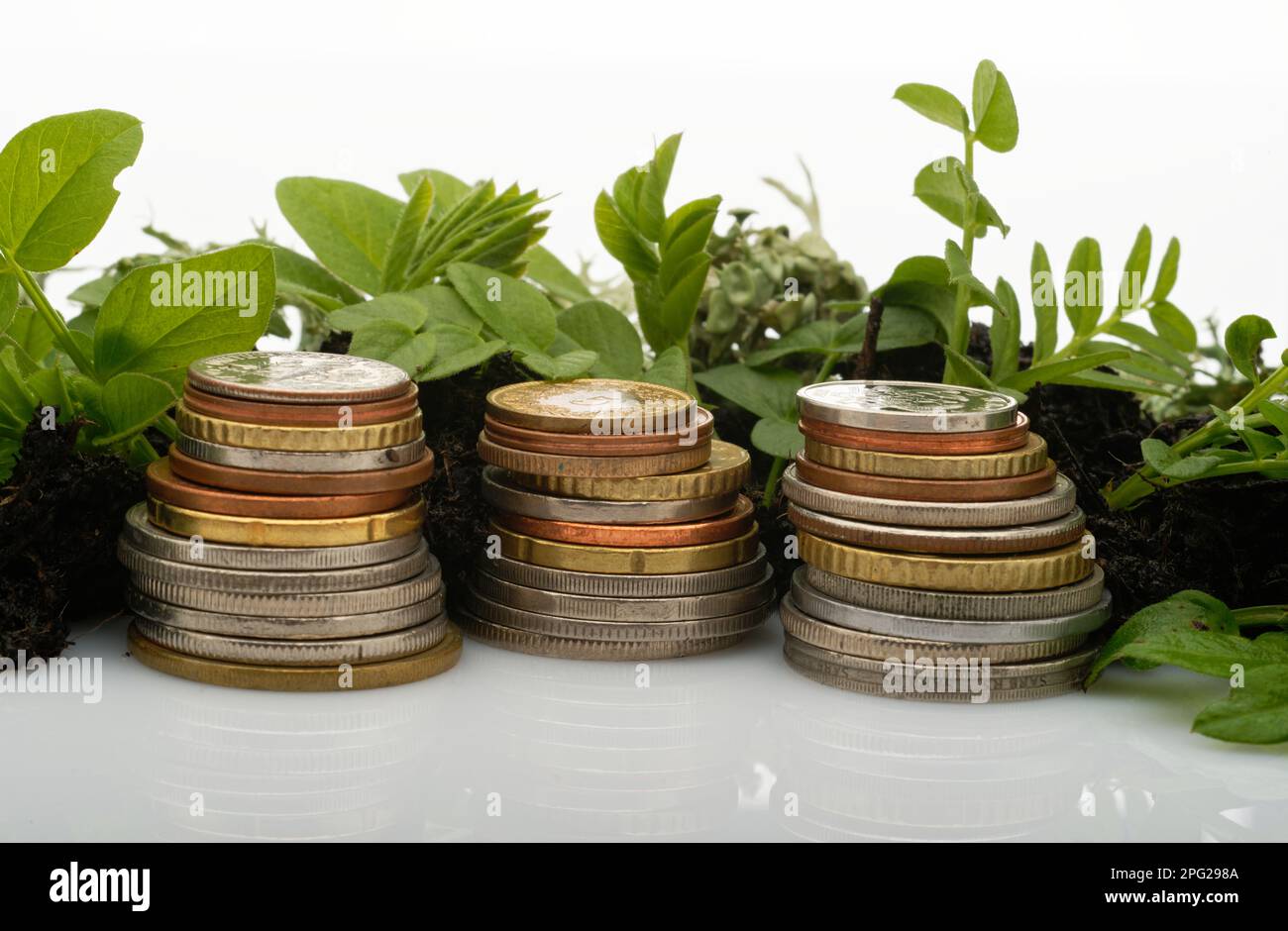 Leaves with coins hi-res stock photography and images - Alamy