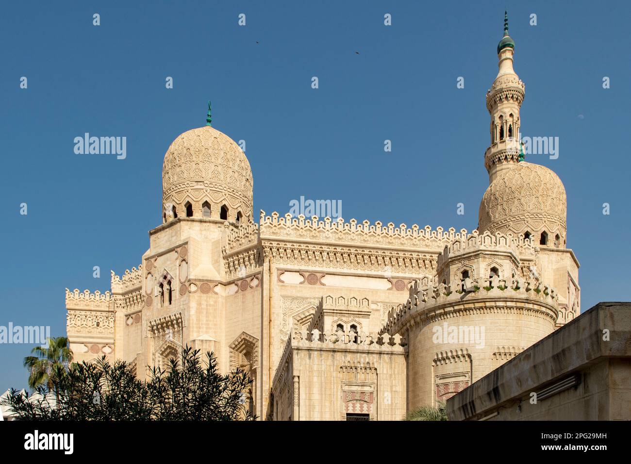 Morsi egypt hi-res stock photography and images - Alamy