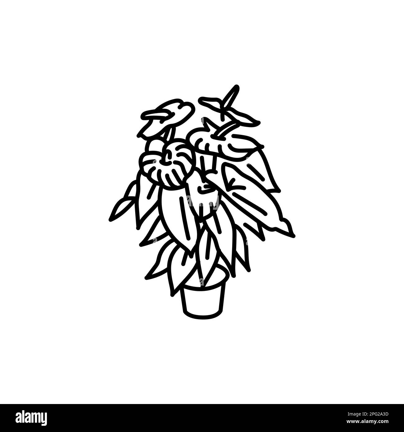 Anthurium houseplant black line icon. Indoor decorative plant ... Anthurium houseplant black line icon. Indoor decorative plant ...