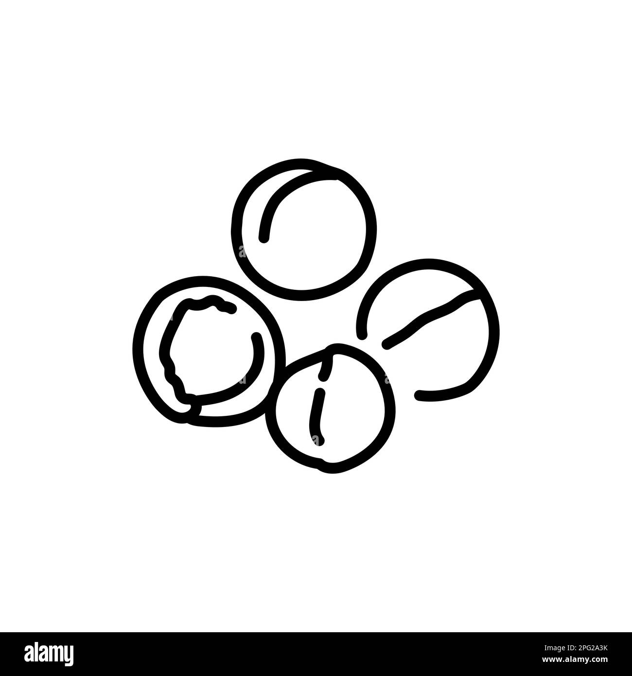 Macadamia nut black line icon. Natural organic super food. Pictogram ...
