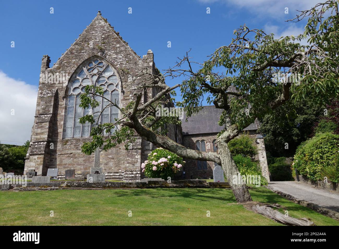St Mary's Collegiate church, Youghal, county Cork, Ireland Stock Photo ...