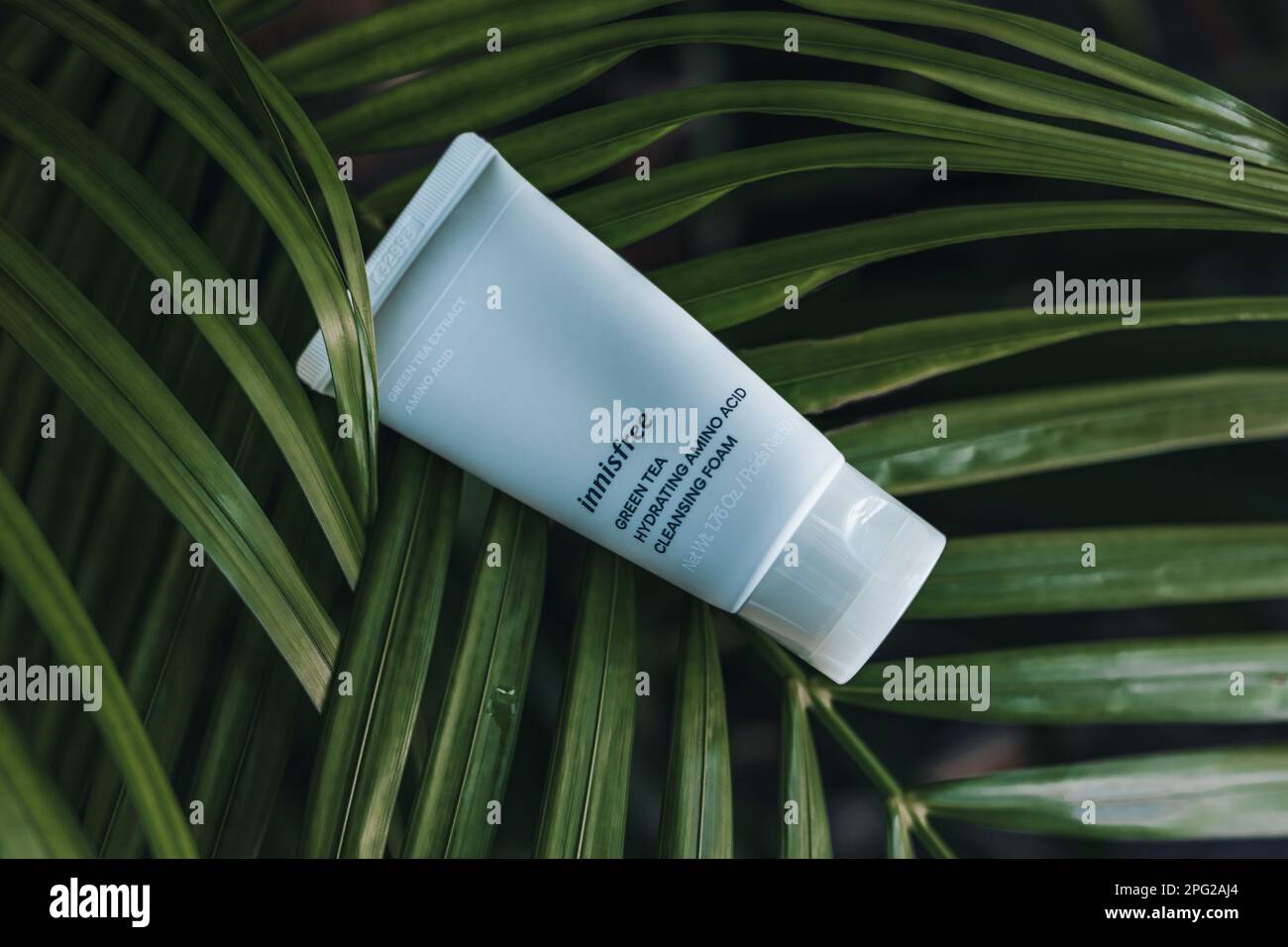 Innisfree green tea cleansing foam on tropical palm background. Skin ...