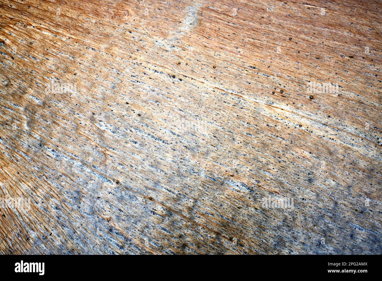 Natural foams result when insoluble substances enter the stream, and is ...