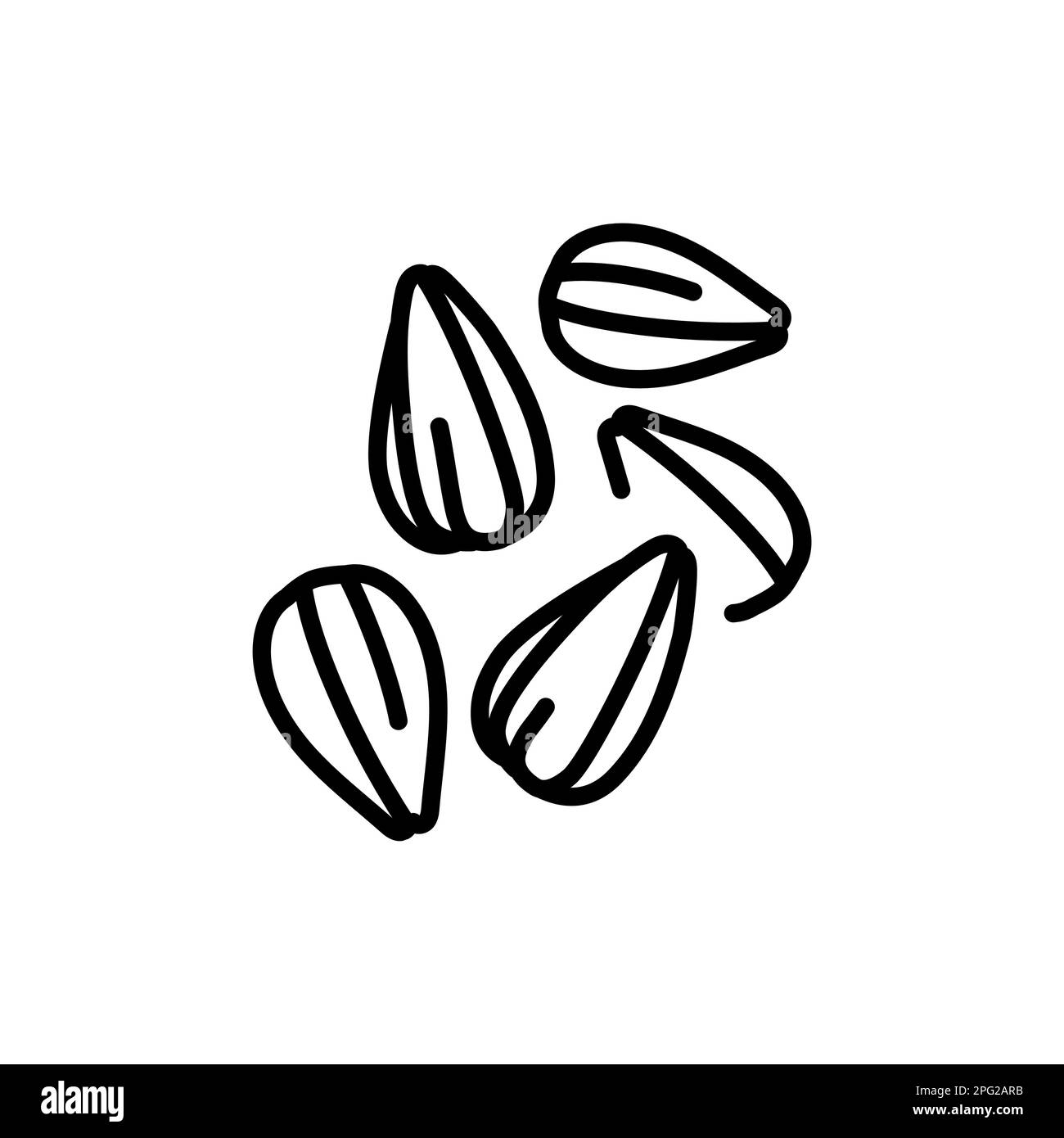 Sunflower Seed Drawing