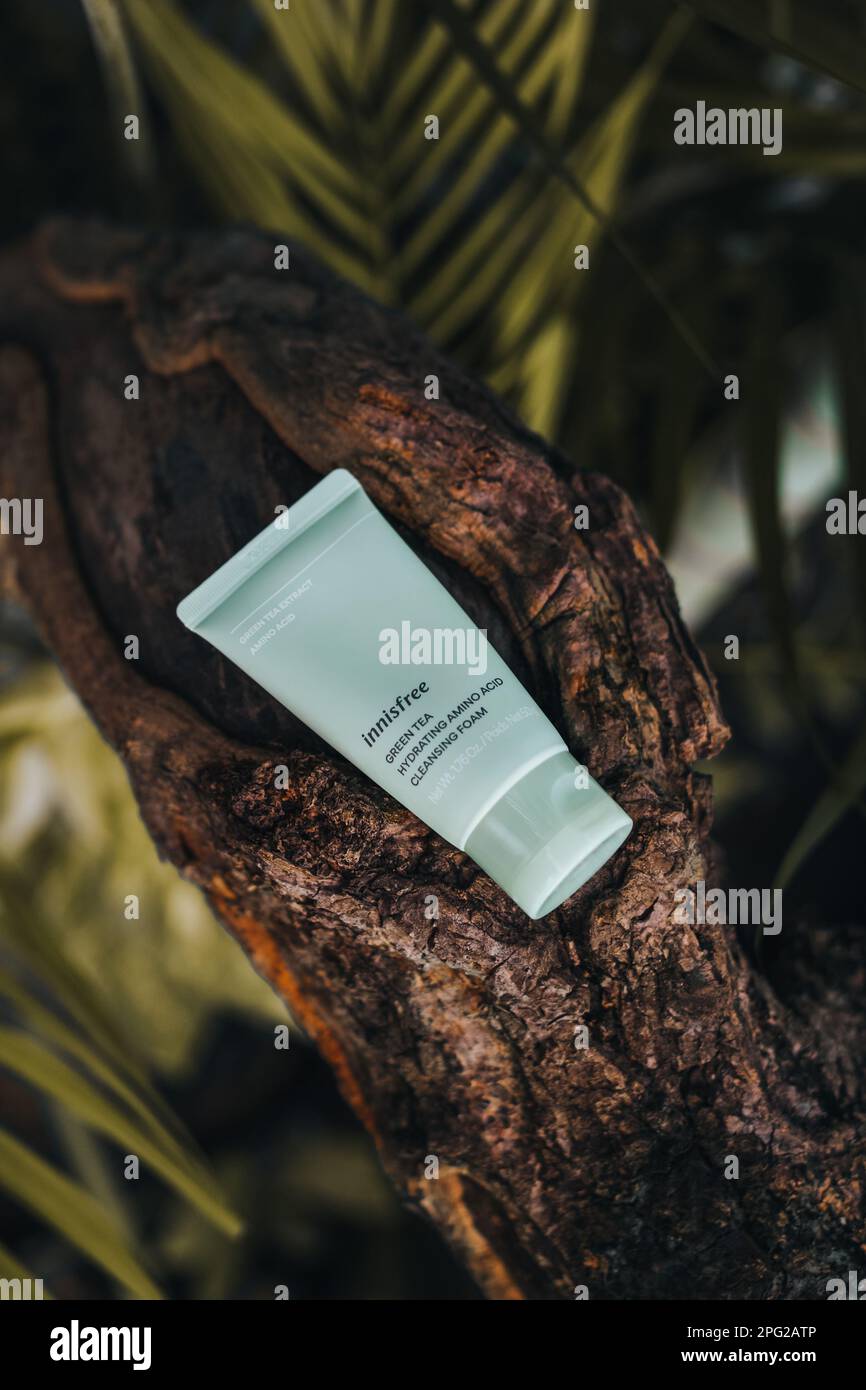 Korean Innisfree green tea cleansing foam. Tropical background. Skin ...
