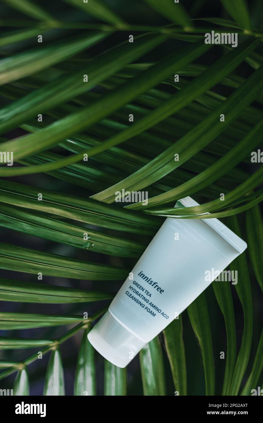 Innisfree green tea cleansing foam on tropical palm background. Skin ...
