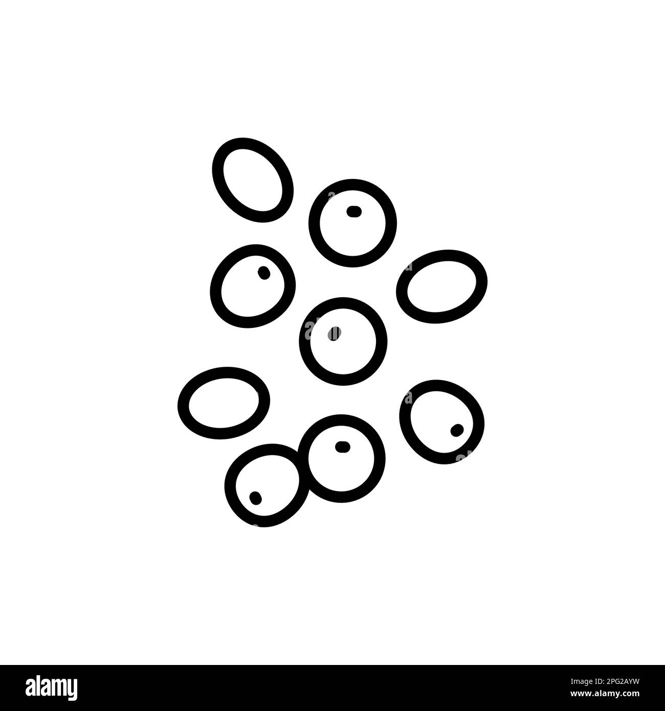 Millet black line icon. Natural organic super food. Pictogram for web ...