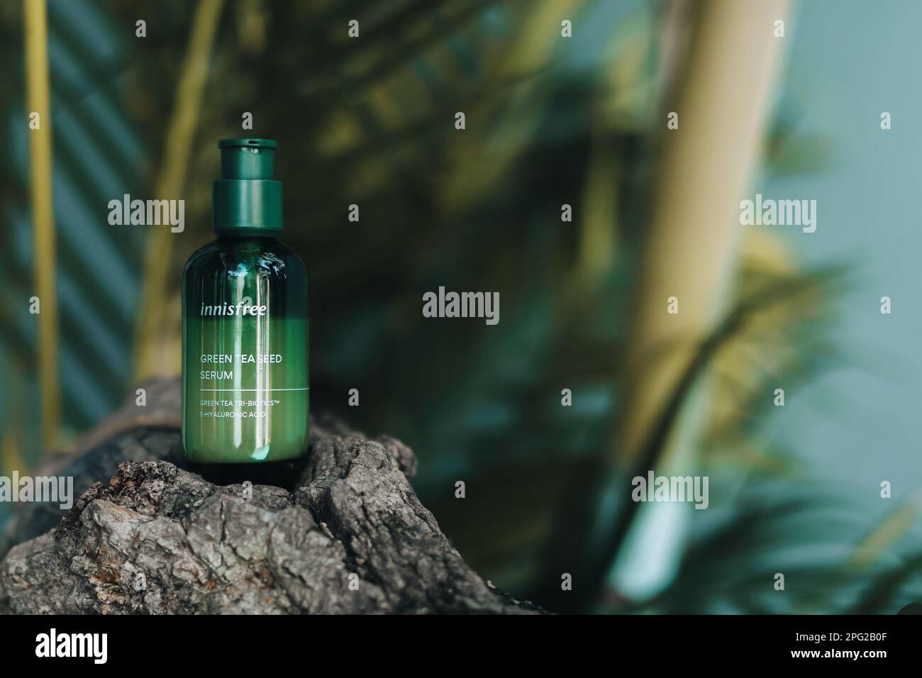 Innisfree Green Tea Seed Serum on a stand made of natural wood against ...