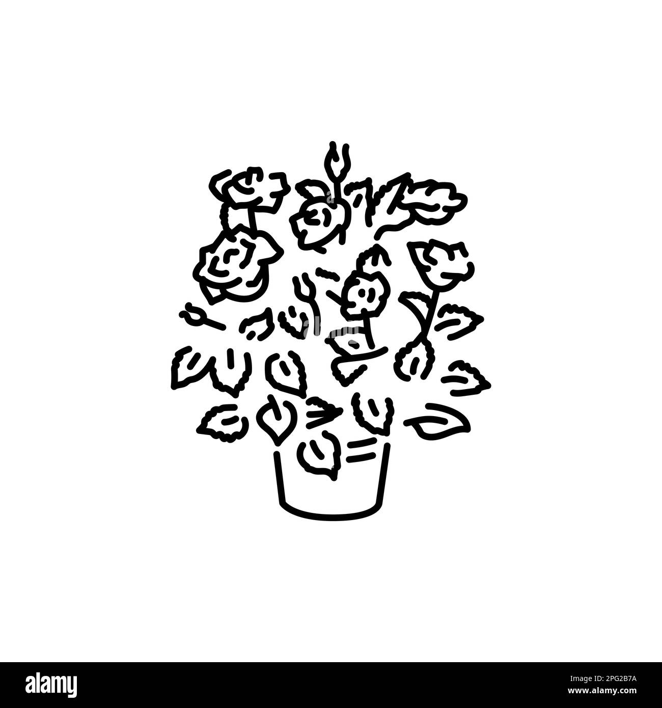 Potted bouquet Black and White Stock Photos & Images - Alamy