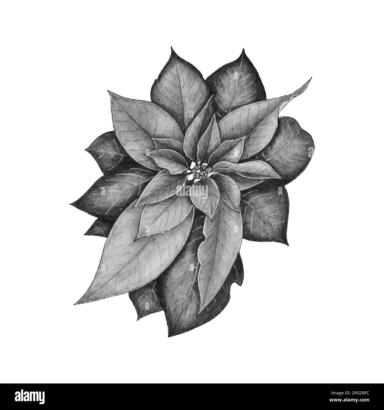 Star drawing pencil hi-res stock photography and images - Alamy