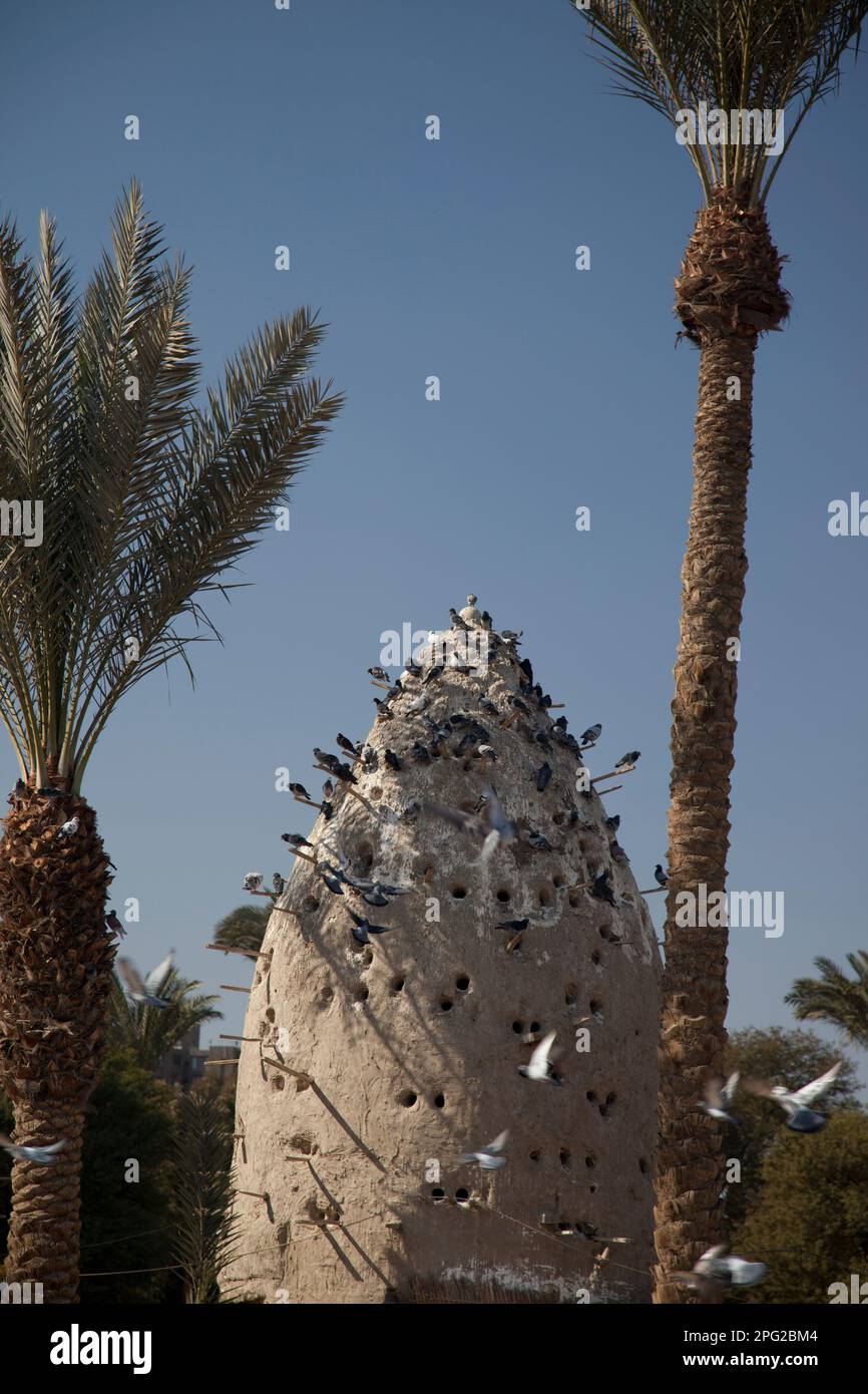 Egypt, Cairo, Pigeon Tower and pigeon holes Stock Photo - Alamy