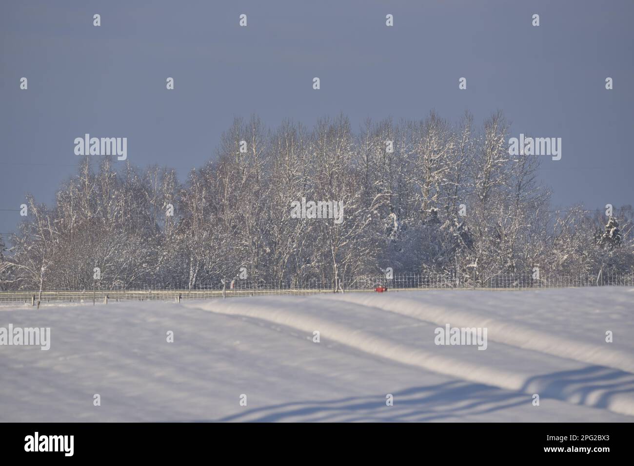 fields and trees covered with snow Stock Photo - Alamy