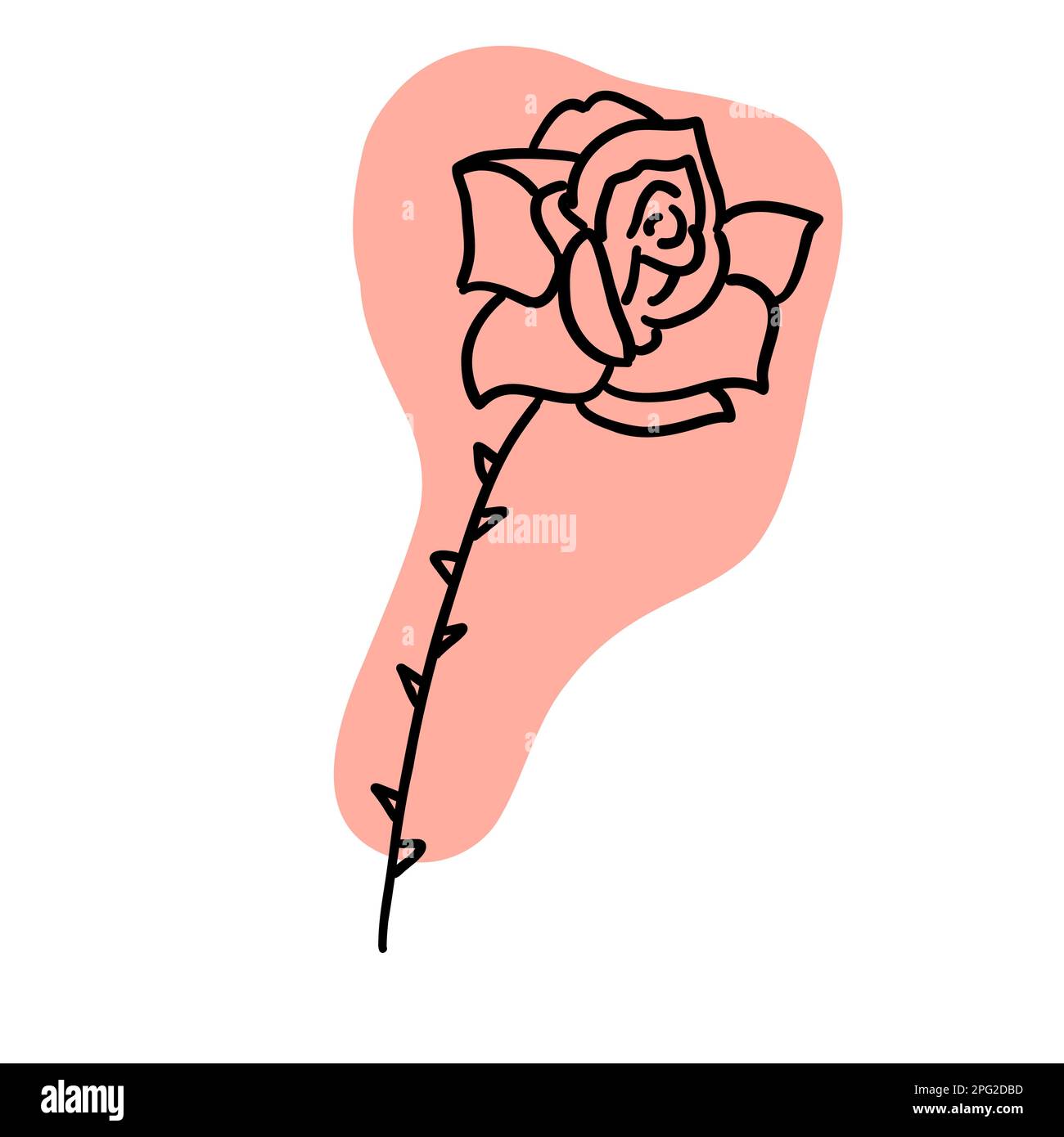 Rose Flower Drawing Tumblr