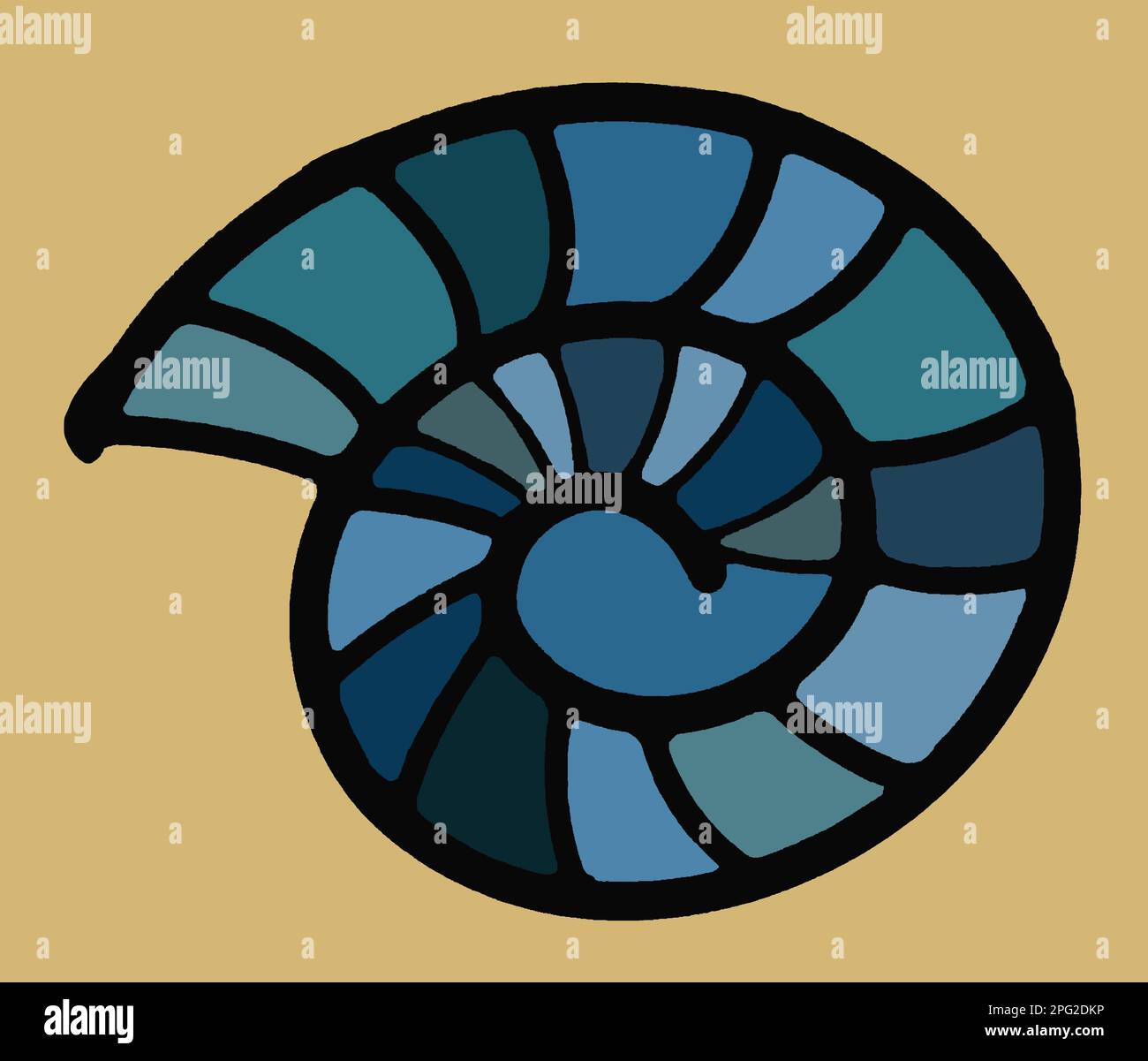 Ammonite pattern hi-res stock photography and images - Alamy