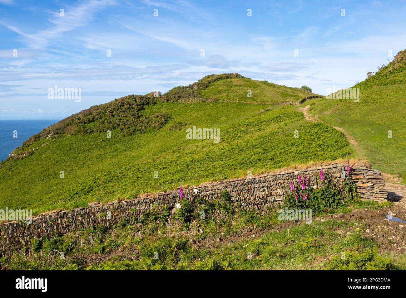 Torrs Park, Ilfracombe, North Devon, UK Stock Photo - Alamy