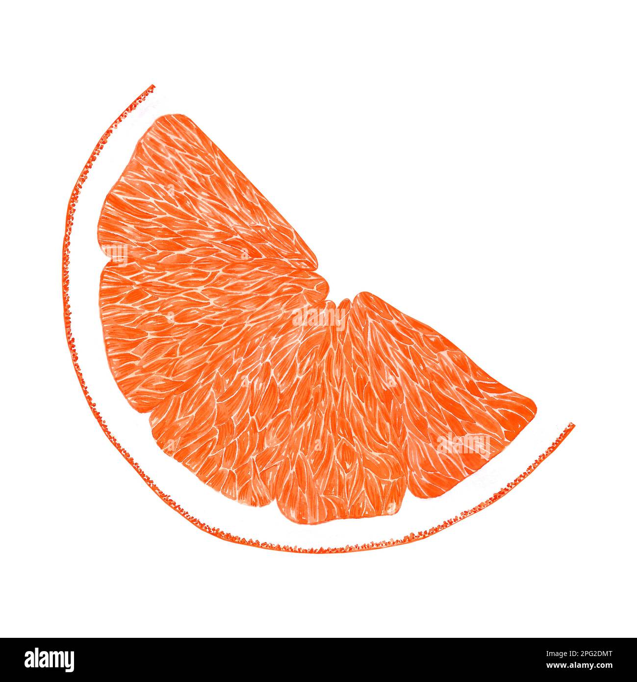 Hand drawn watercolor slice of orange isolated on white background. Scrapbook, post card, banner ...