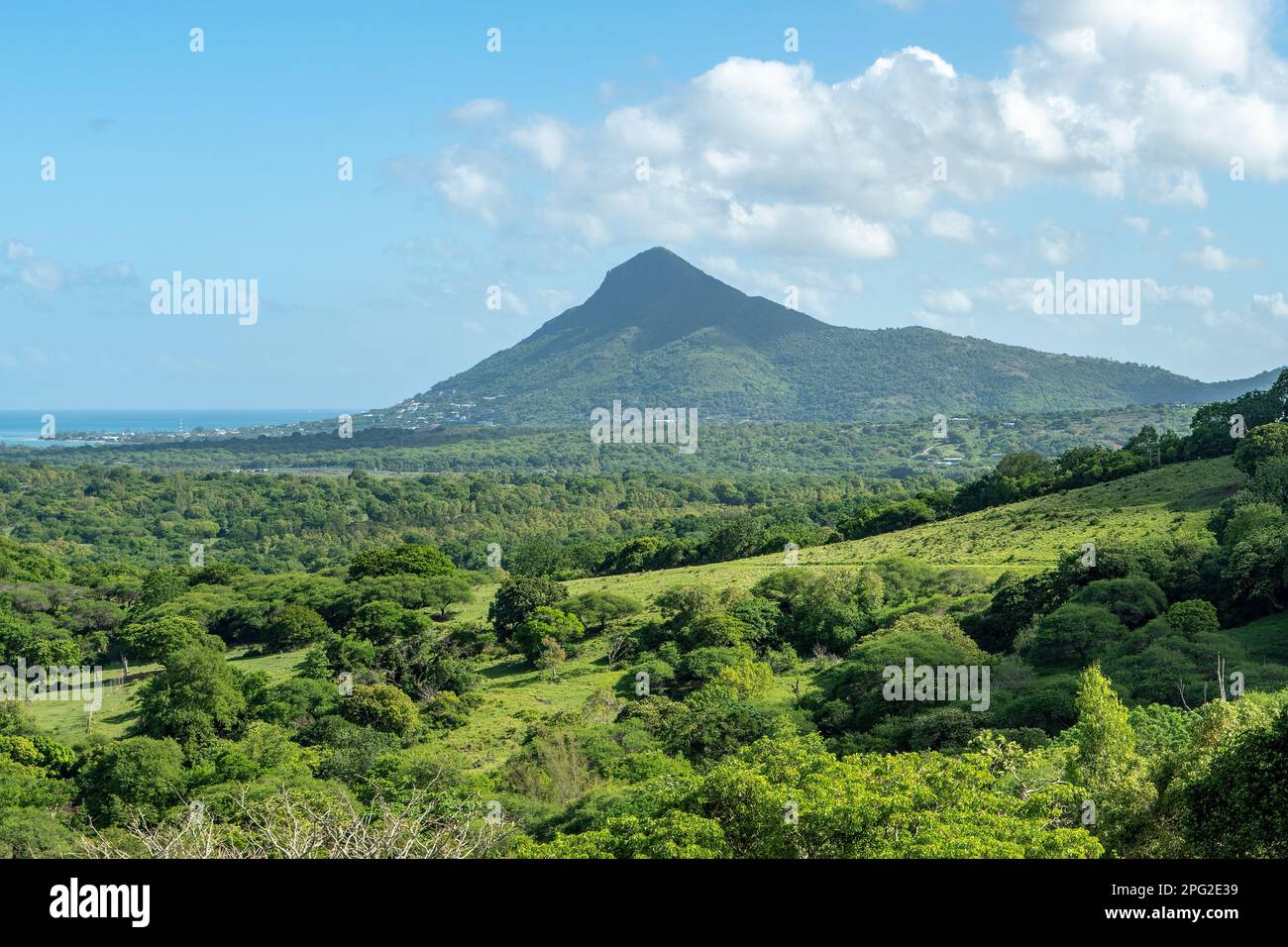 Tamarin mauritius hi-res stock photography and images - Alamy