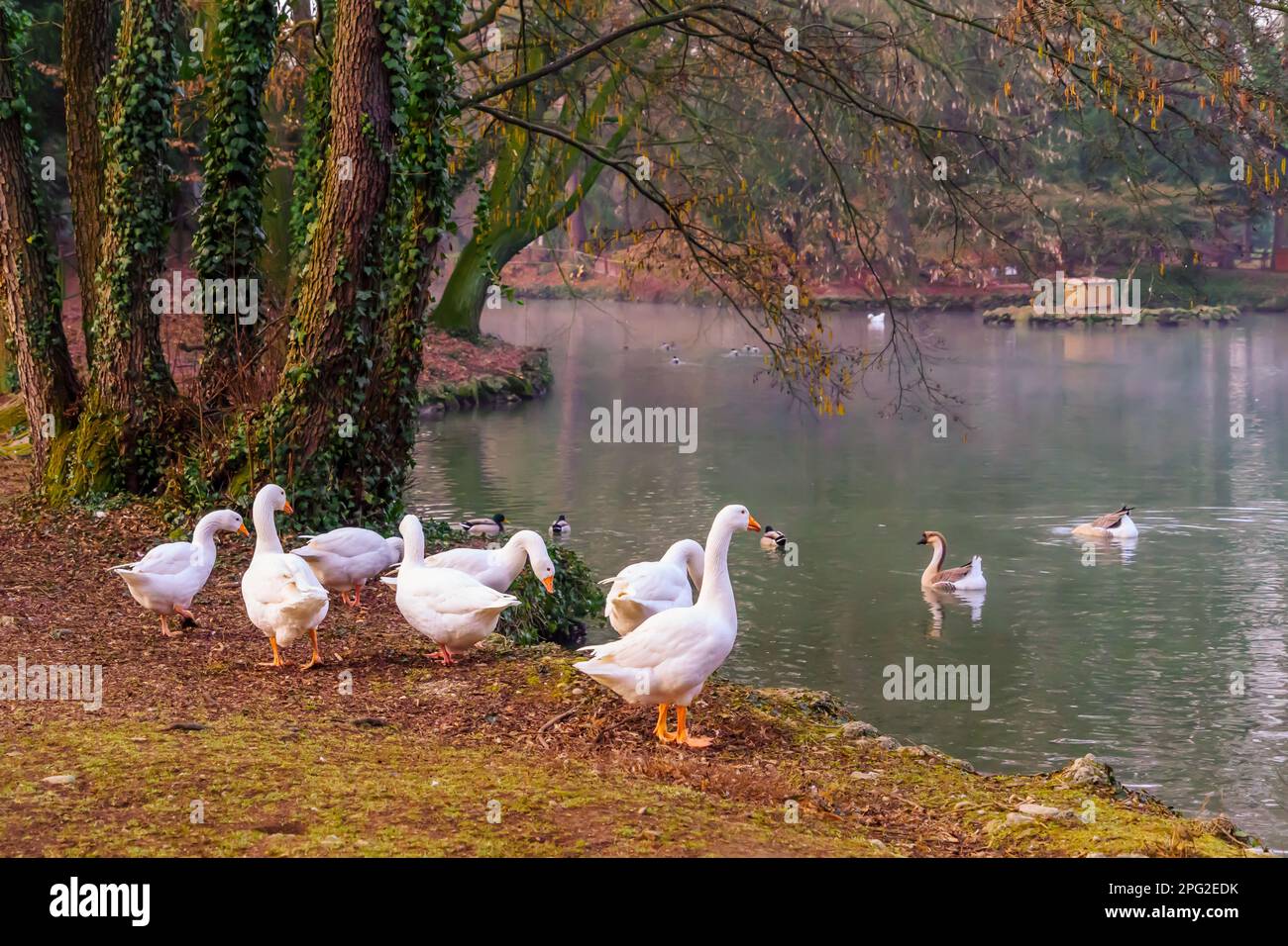 Parco of monza hi-res stock photography and images - Alamy