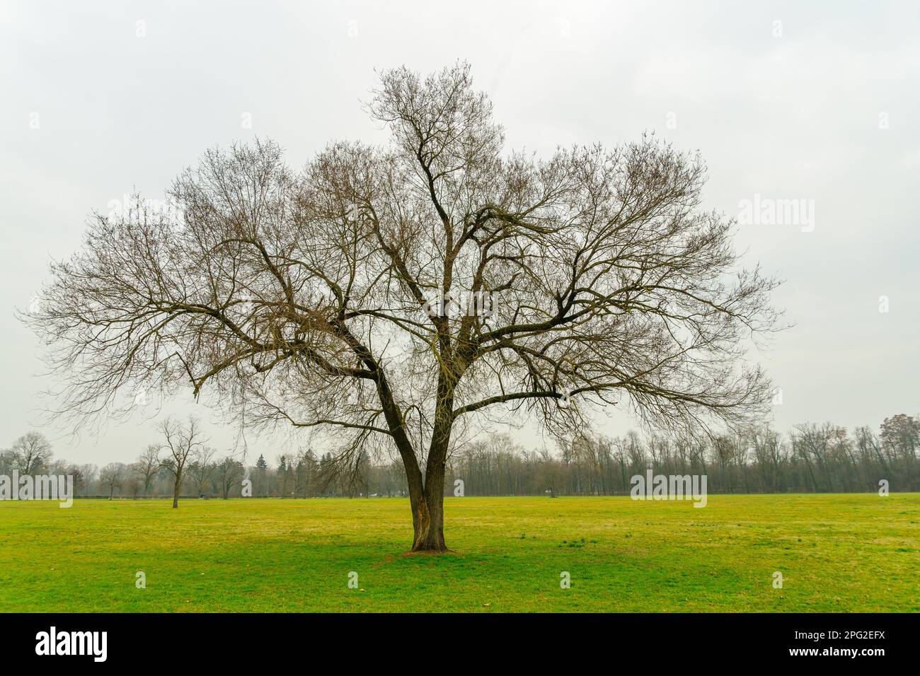 Parco of monza hi-res stock photography and images - Alamy