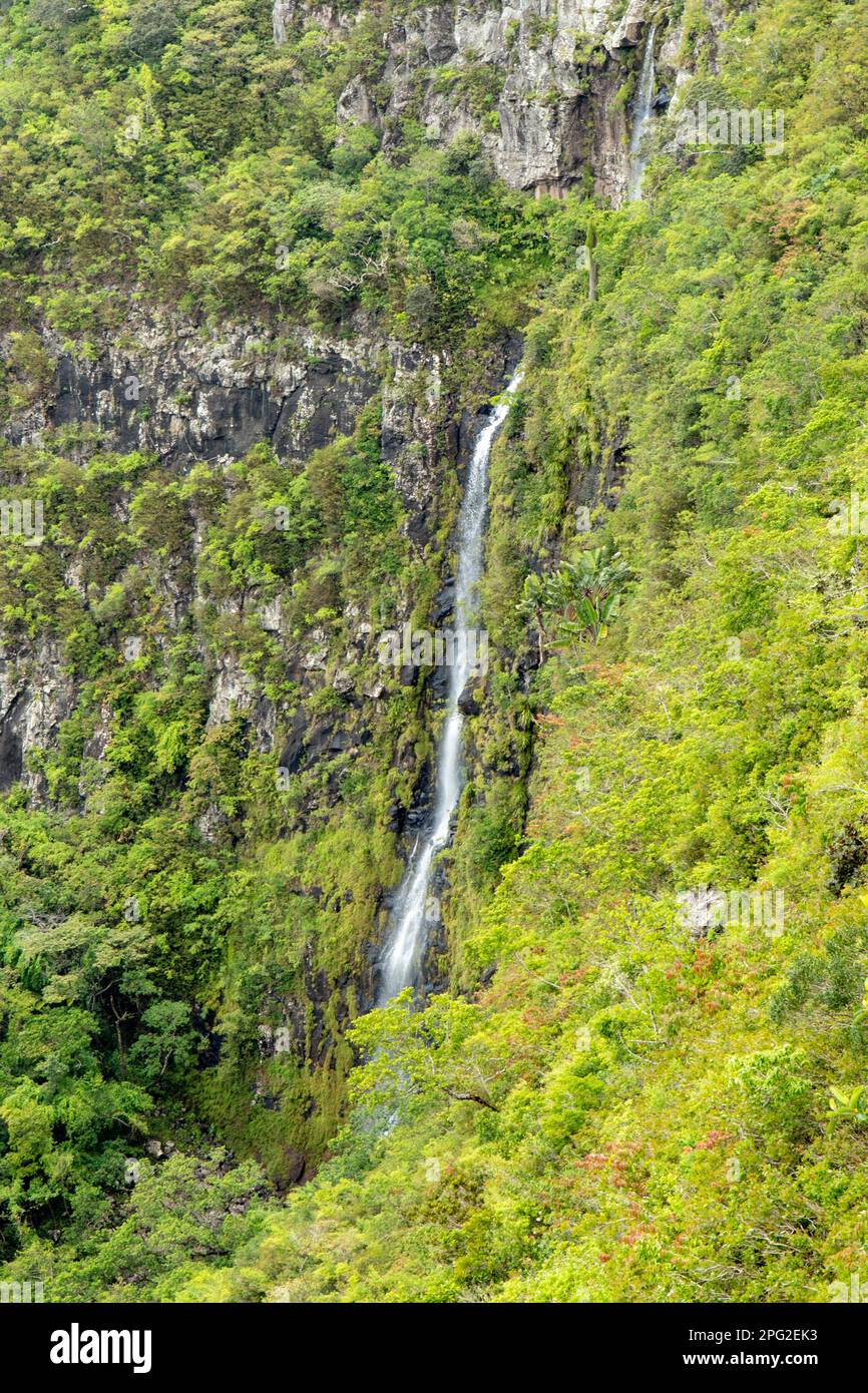 Waterfall at Gorge View, Black River Gorges NP, Mauritius Stock Photo ...