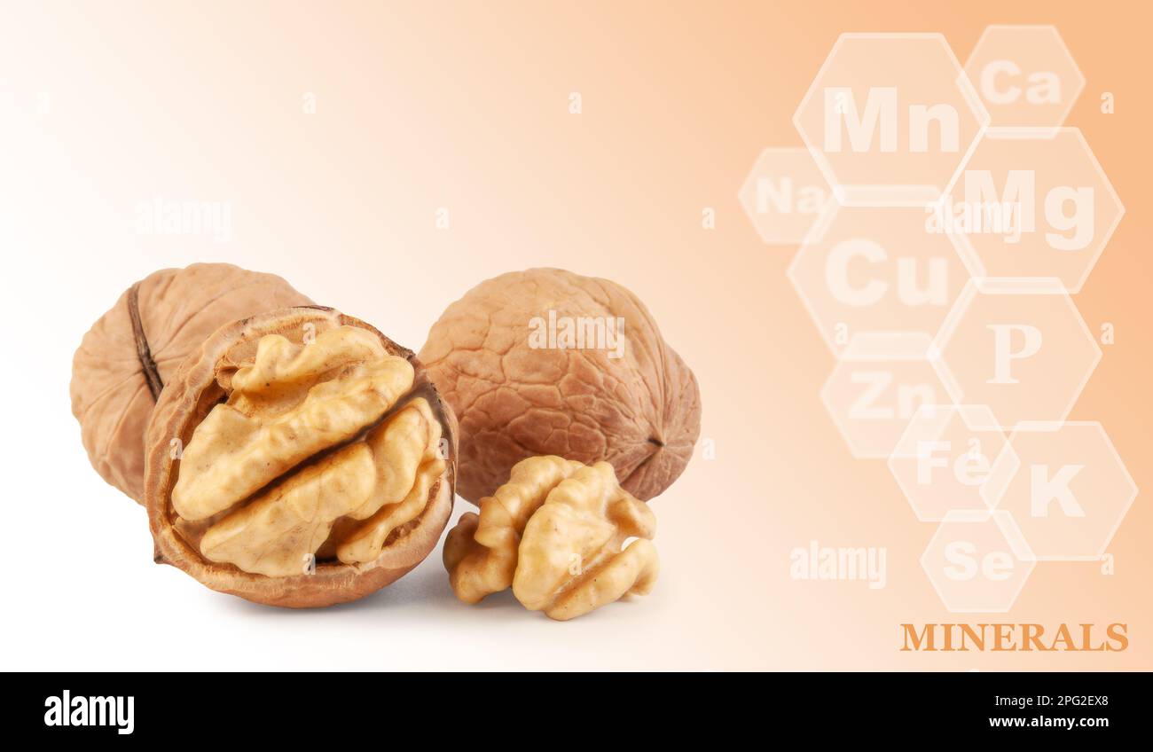 fresh kernels, broken and whole walnuts close-up isolated on color ...