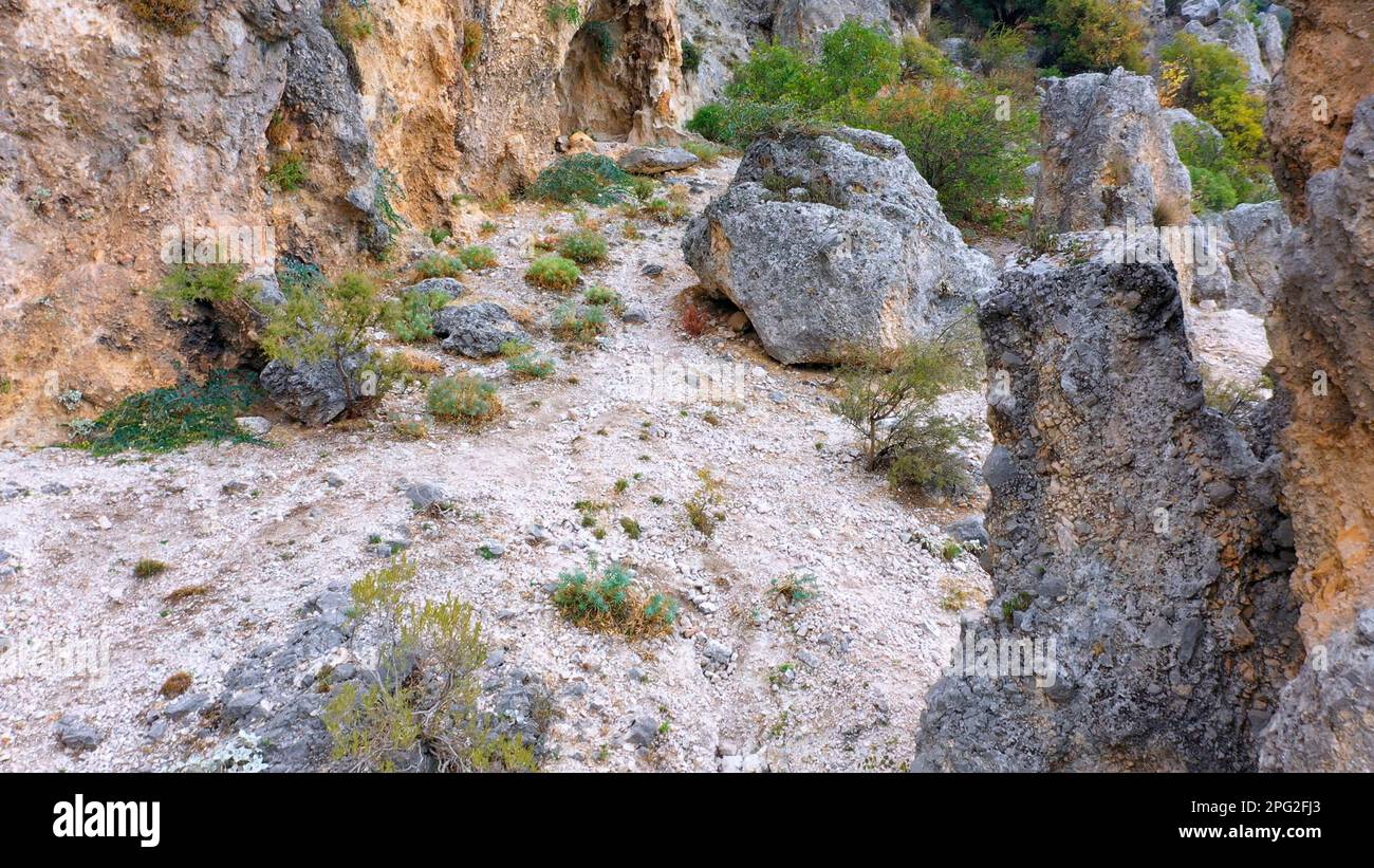 Rocks and green trees on mountain slope. Rock formations in gorge. Wild ...