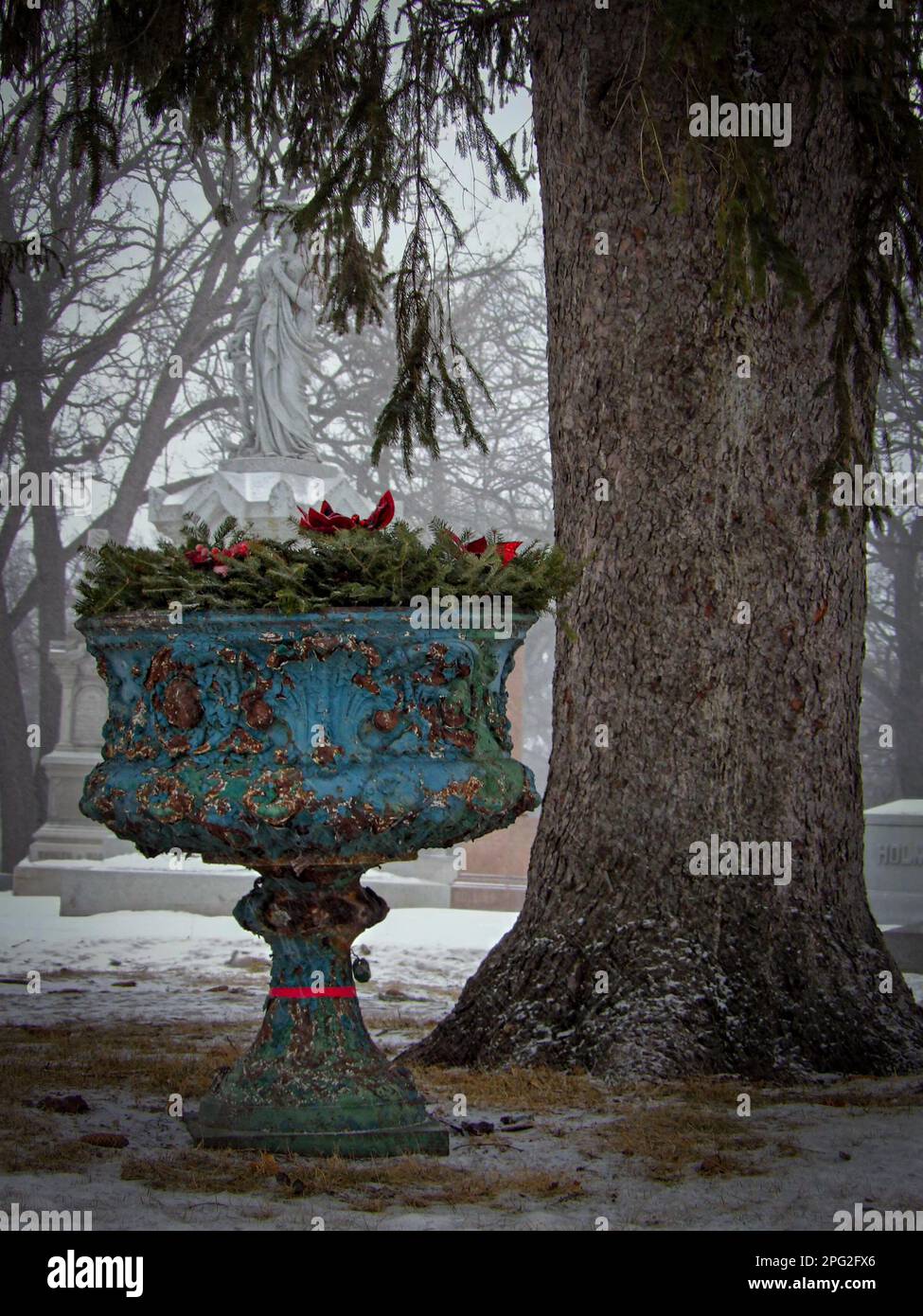 A large terracotta plant pot overflowing with lush green foliage, in ...