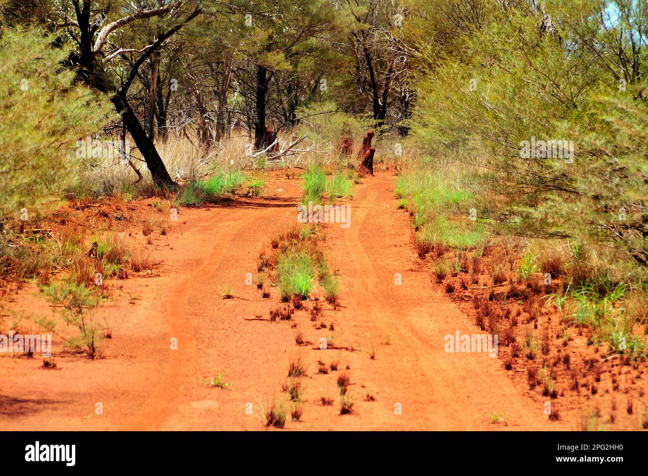 Red sandy track in outback, Pilbara, Northwest Australia Stock Photo ...