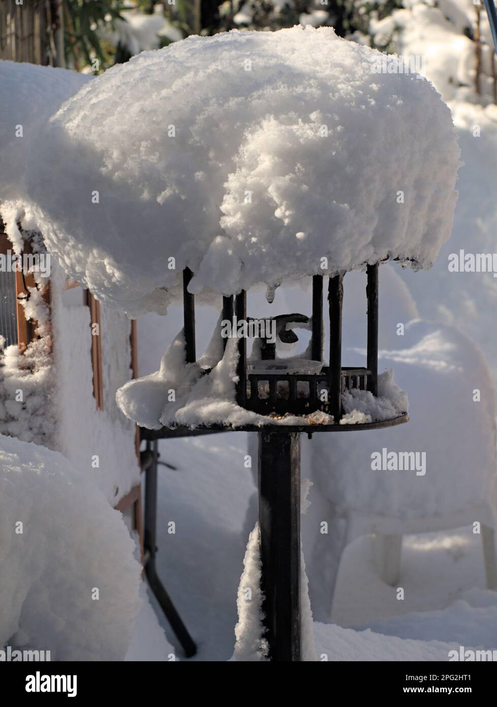 Snow on a bird table in Marsden Stock Photo - Alamy
