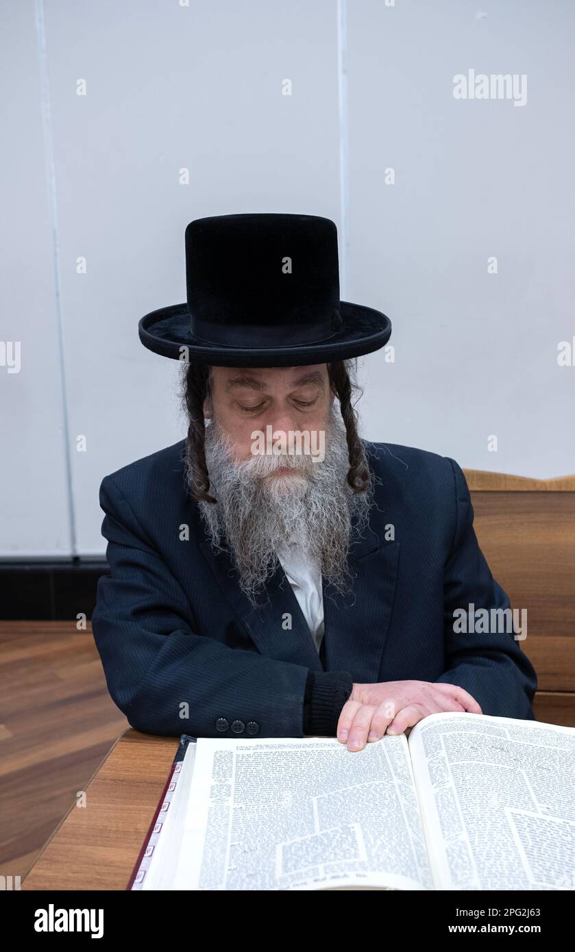 A older Hasidic Jewish man with long peyot studies the Tamud alone in a ...