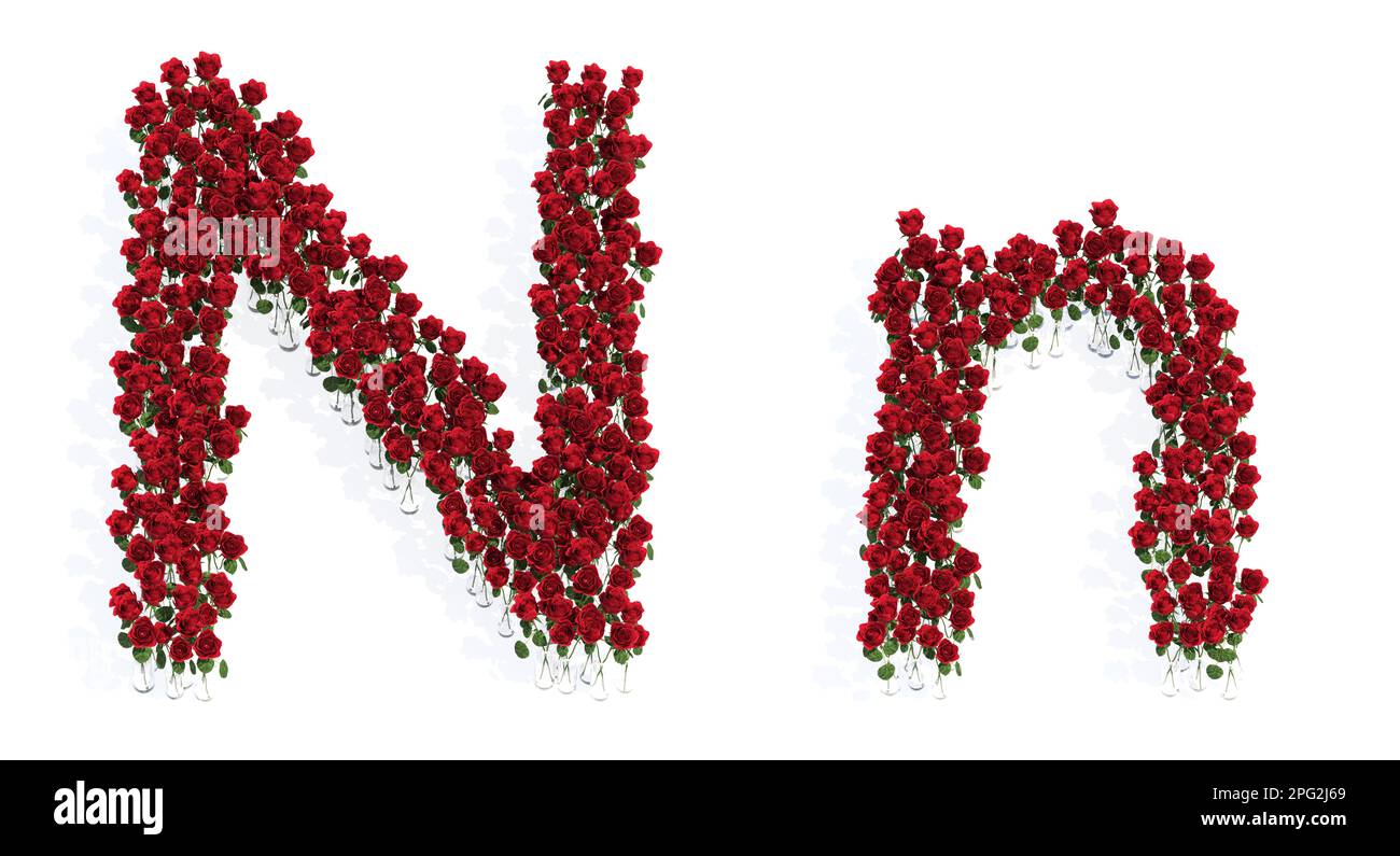 Concept or conceptual set of beautiful blooming red roses bouquets ...