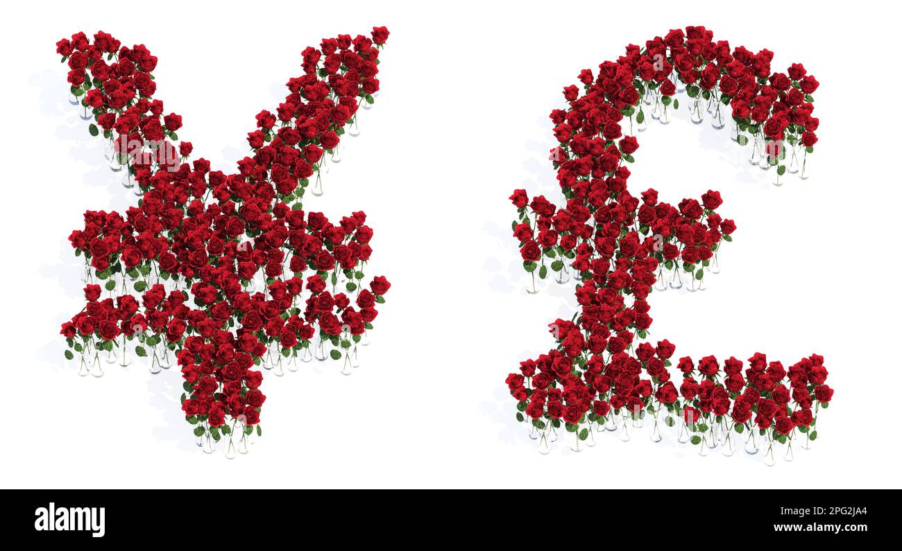 Concept or conceptual set of beautiful blooming red roses bouquets ...