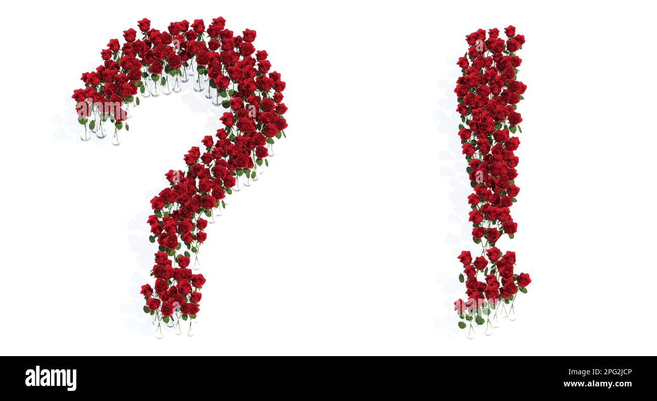 Concept or conceptual set of beautiful blooming red roses bouquets ...