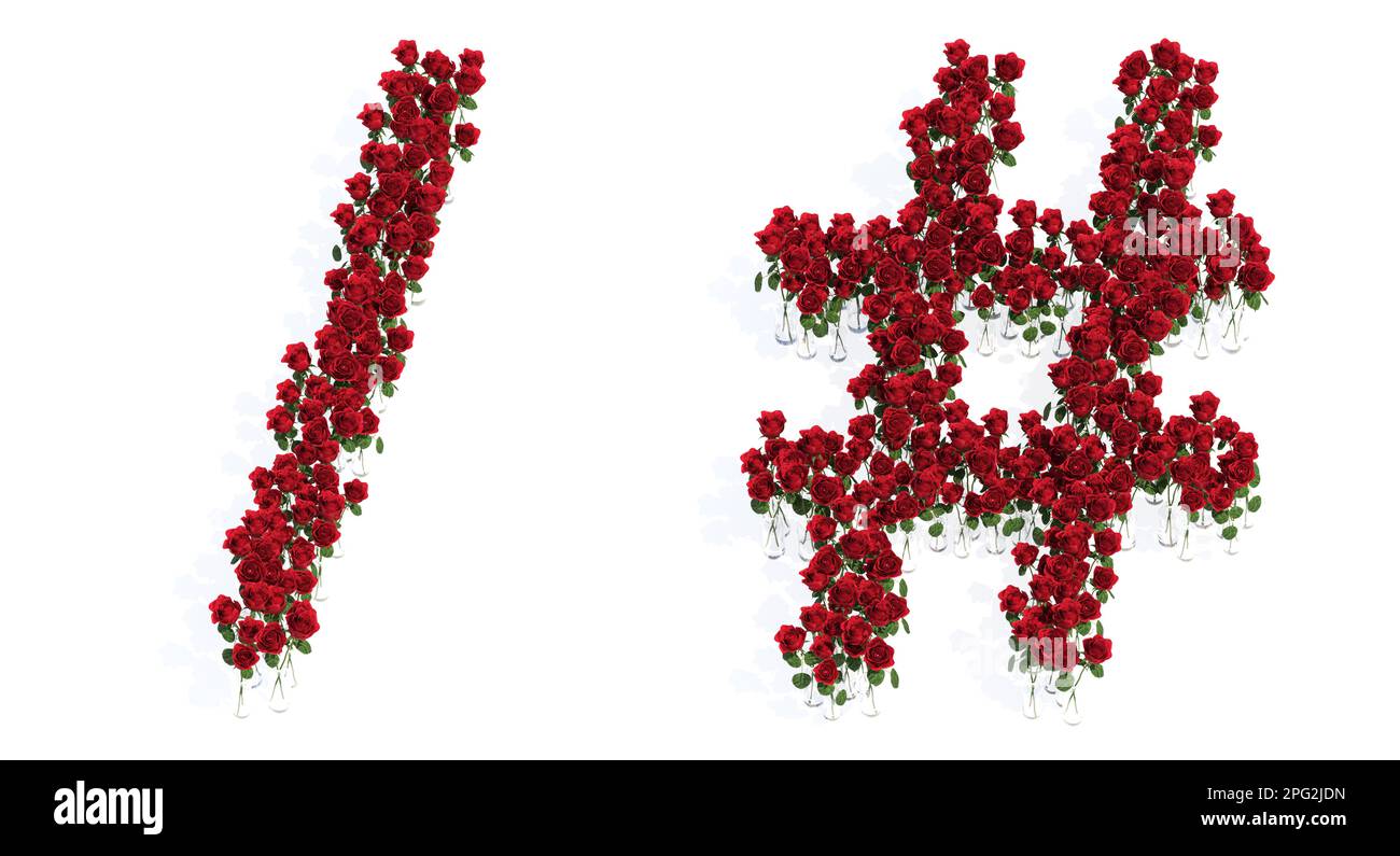 Concept or conceptual set of beautiful blooming red roses bouquets ...