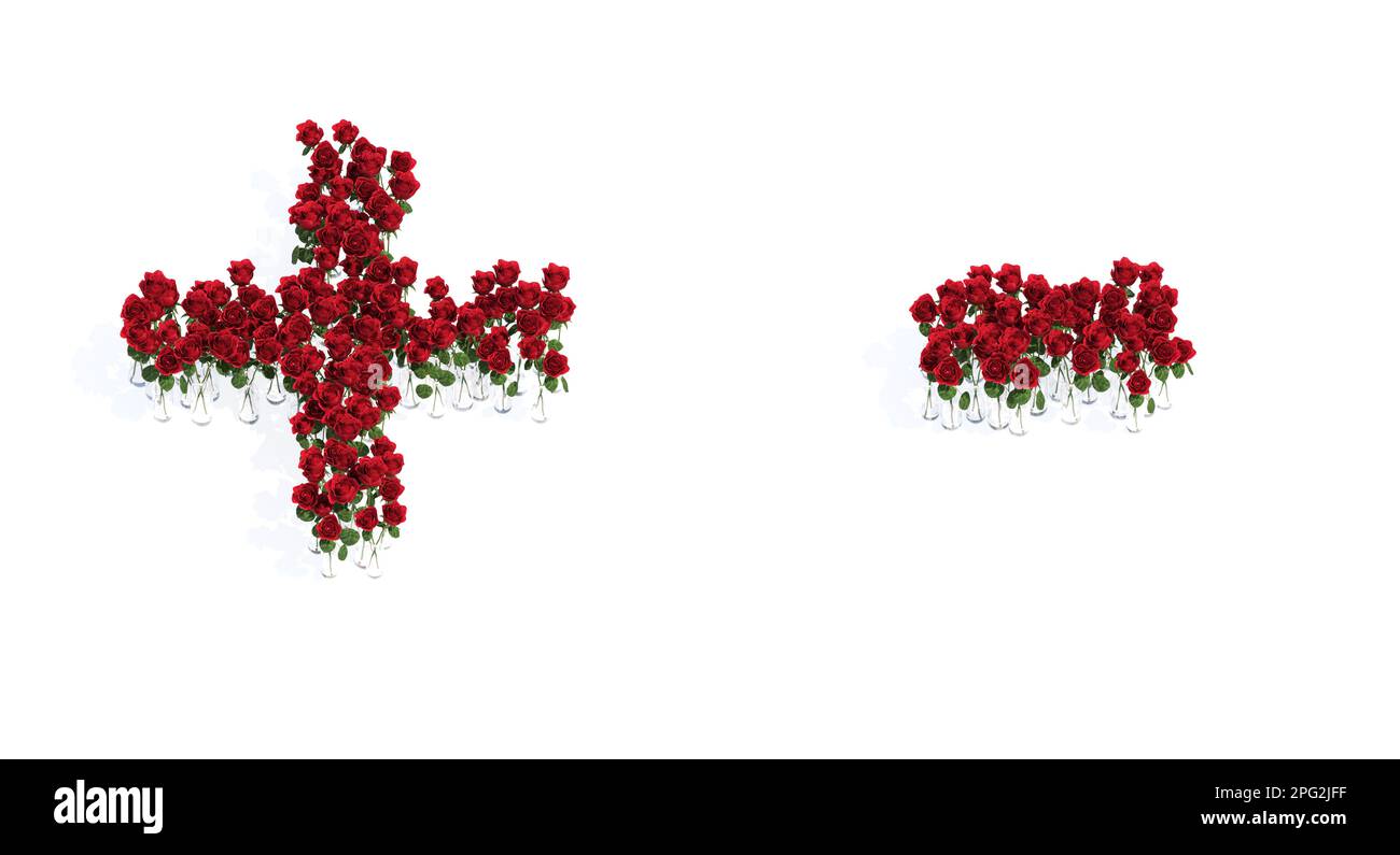 Concept or conceptual set of beautiful blooming red roses bouquets ...