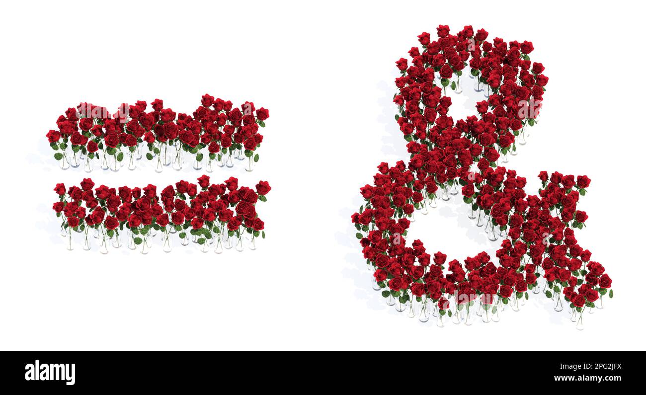 Concept or conceptual set of beautiful blooming red roses bouquets ...