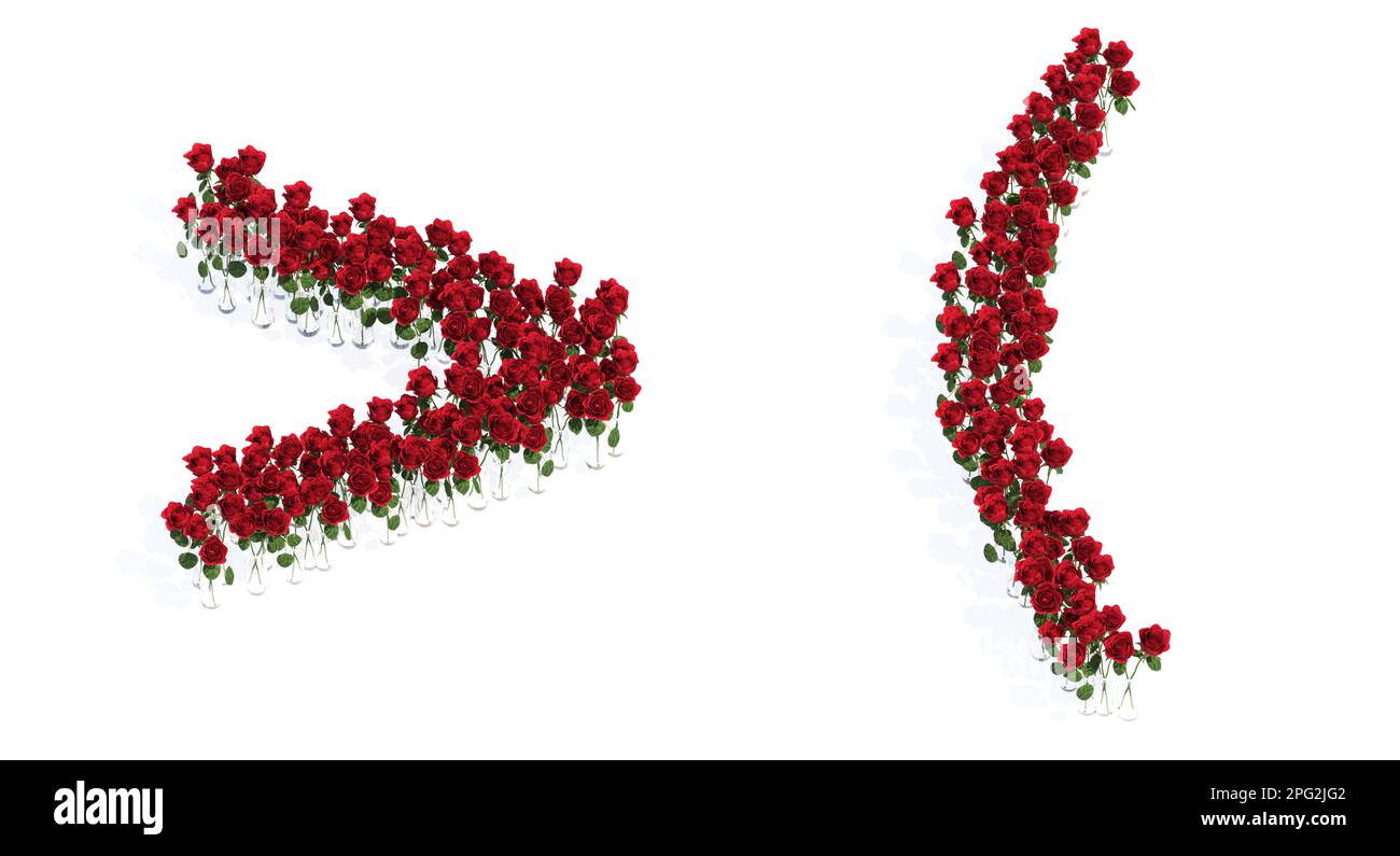 Concept or conceptual set of beautiful blooming red roses bouquets ...