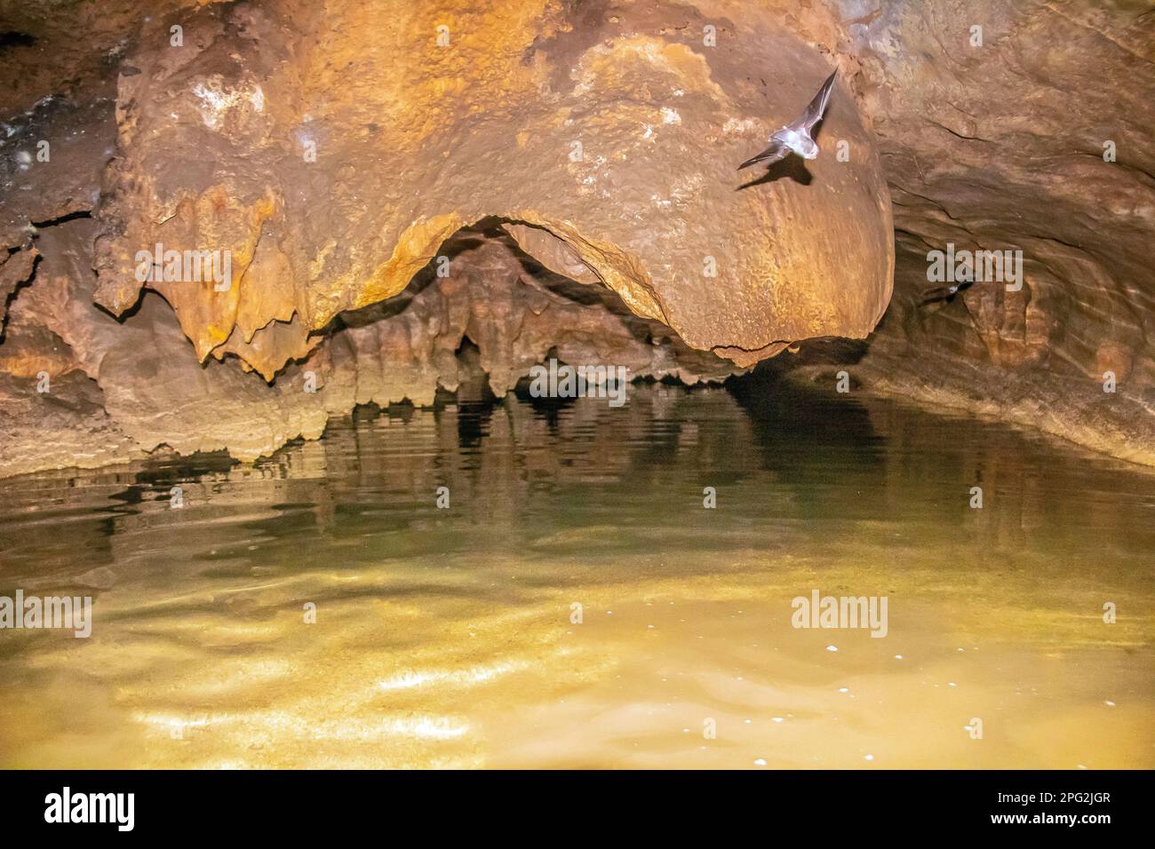 Siliana governorate hi-res stock photography and images - Alamy