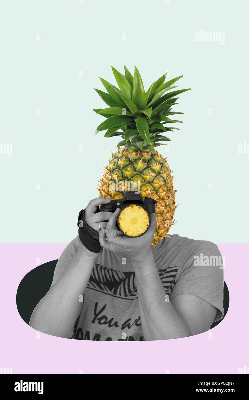 Contemporary collage art, art collage, Photographer with pineapple head ...