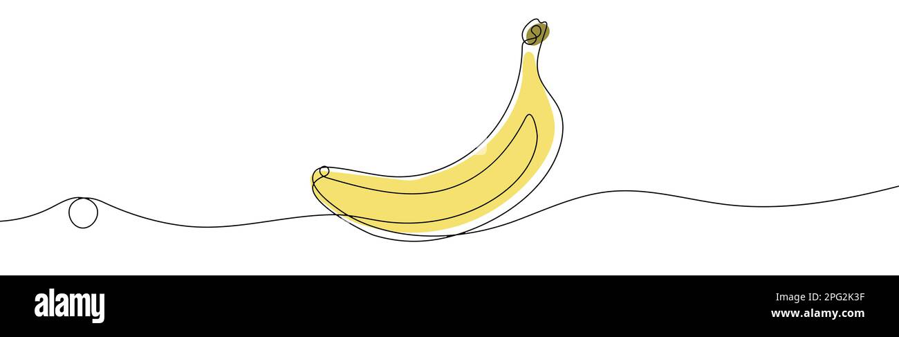 Banana continuous line drawing vector illustration. One line banana ...